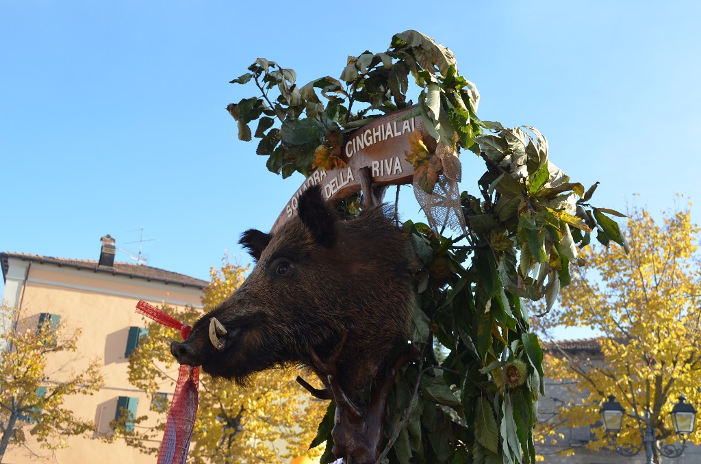 Zocca e dintorni – Vi do il Tiro